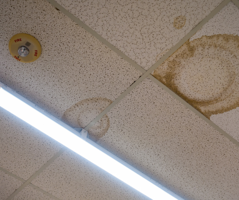Ceiling Leak Detection - Domestic & Commercial Leak Detection